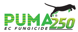 Puma 250 EC Turf Fungicide - Triadimenol - Systemic - Sundew Solutions